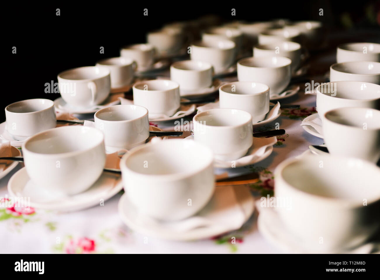 White cups on the table. Many empty cups stand in a row on the table ...
