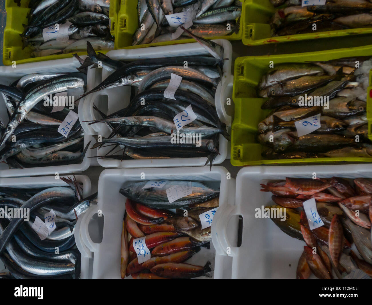 Frozen seafood box hi-res stock photography and images - Alamy