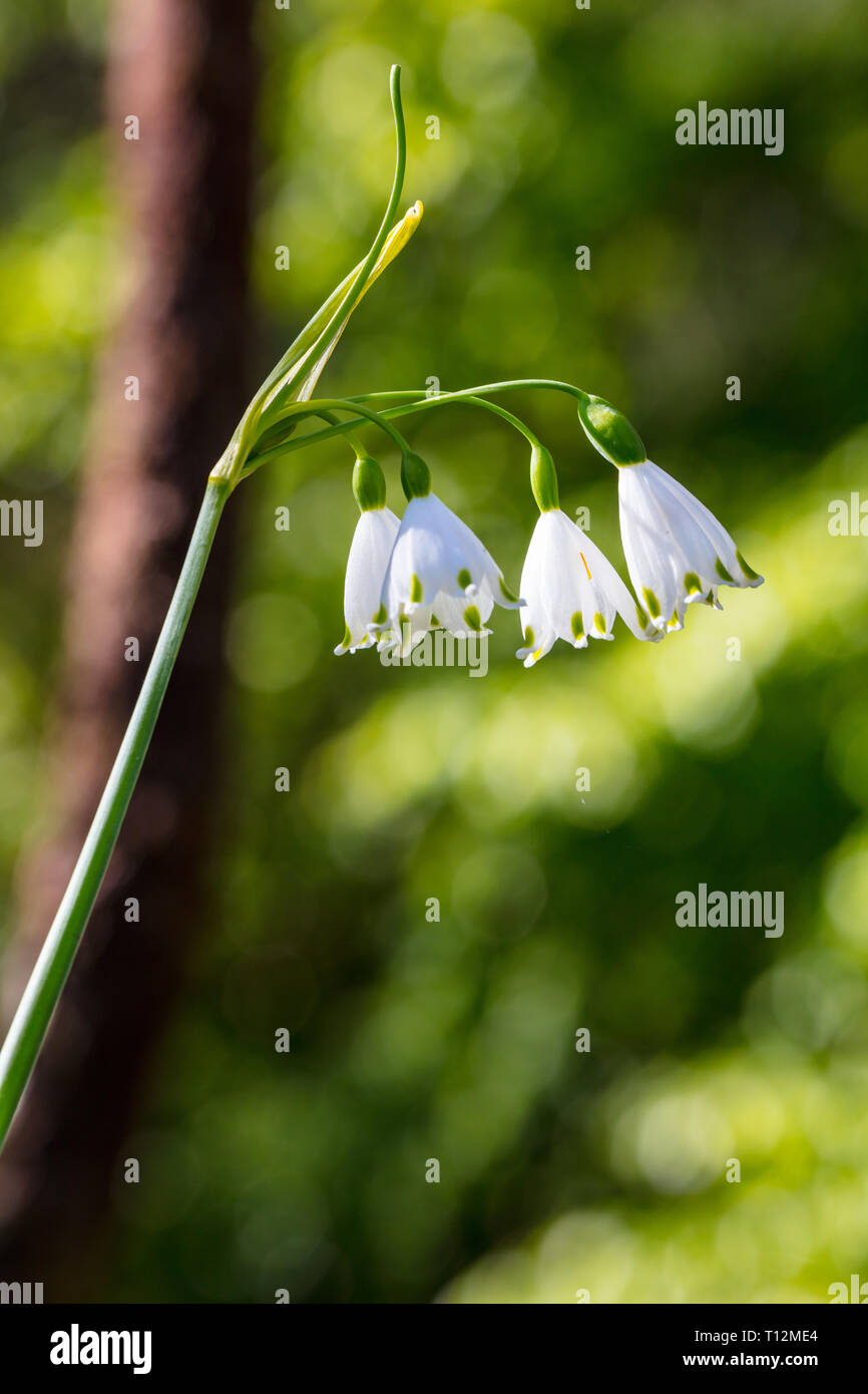 the summer is here Stock Photo - Alamy