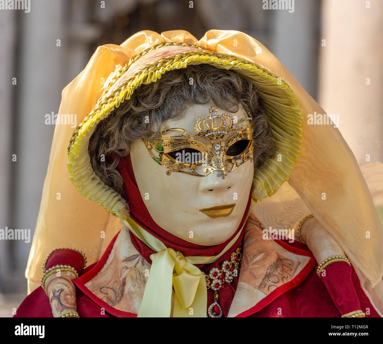 Italy, Venice, 2919 carnival, typical masks, beautiful clothes, posing ...