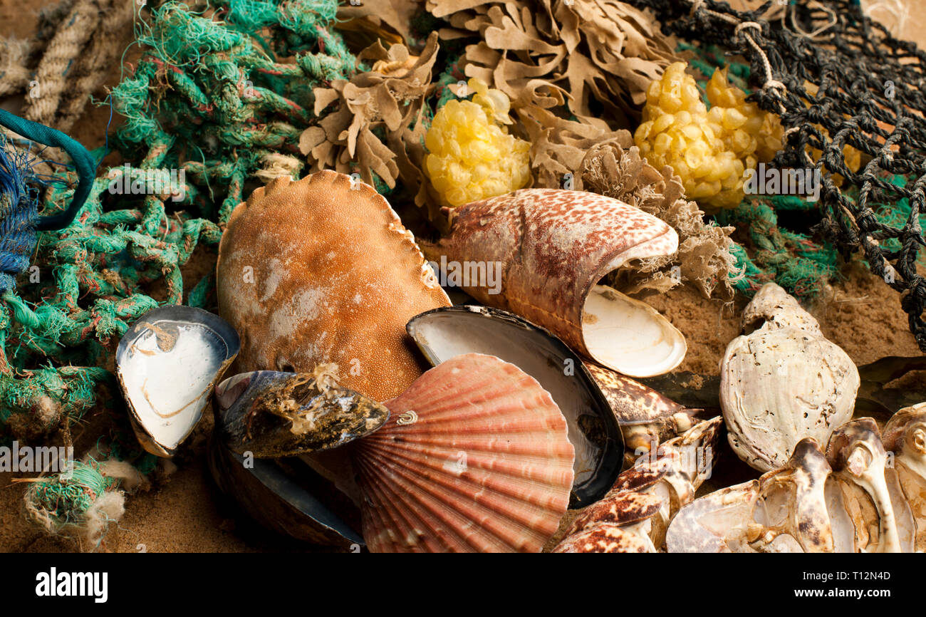 Flotsam Jetsam Stock Photos & Flotsam Jetsam Stock Images - Alamy