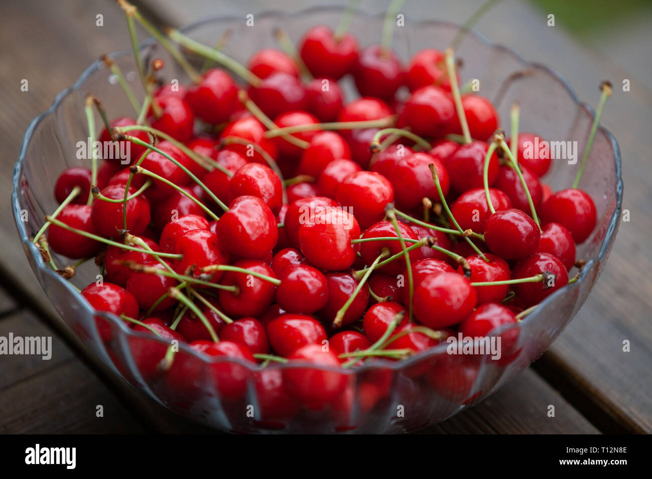 Close up bowl cherries hi-res stock photography and images - Alamy