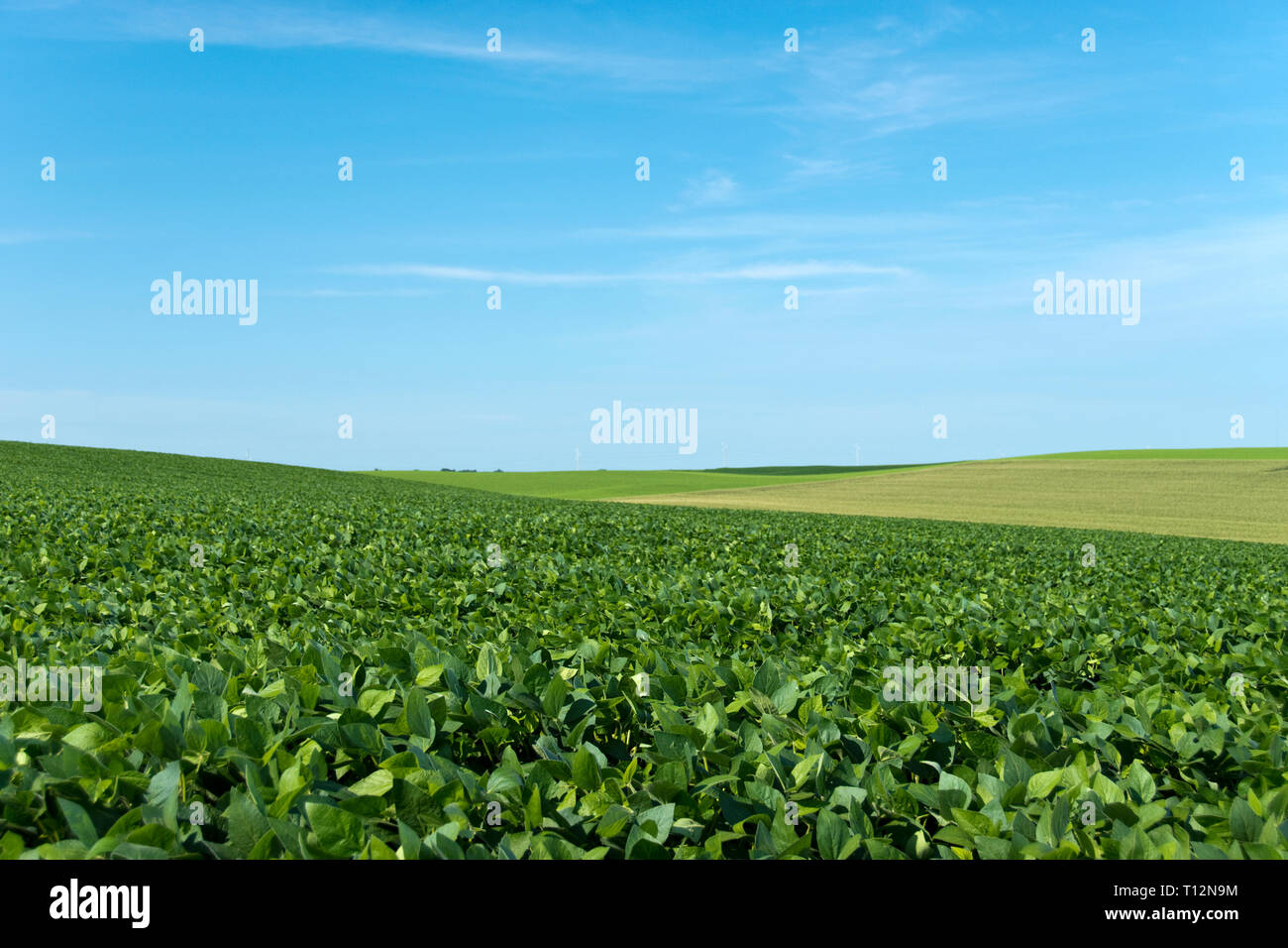 Farm fields with a red barn, grain silos, and a country road in ...