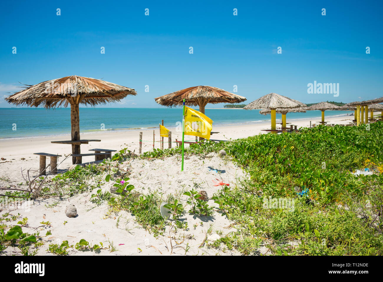 Yellow flag written "Attention, nest" in Portuguese marking a sea ...