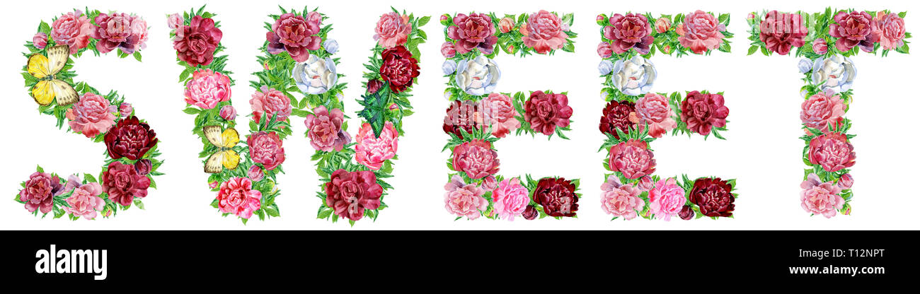 Word SWEET of watercolor flowers, isolated hand drawn on a white ...