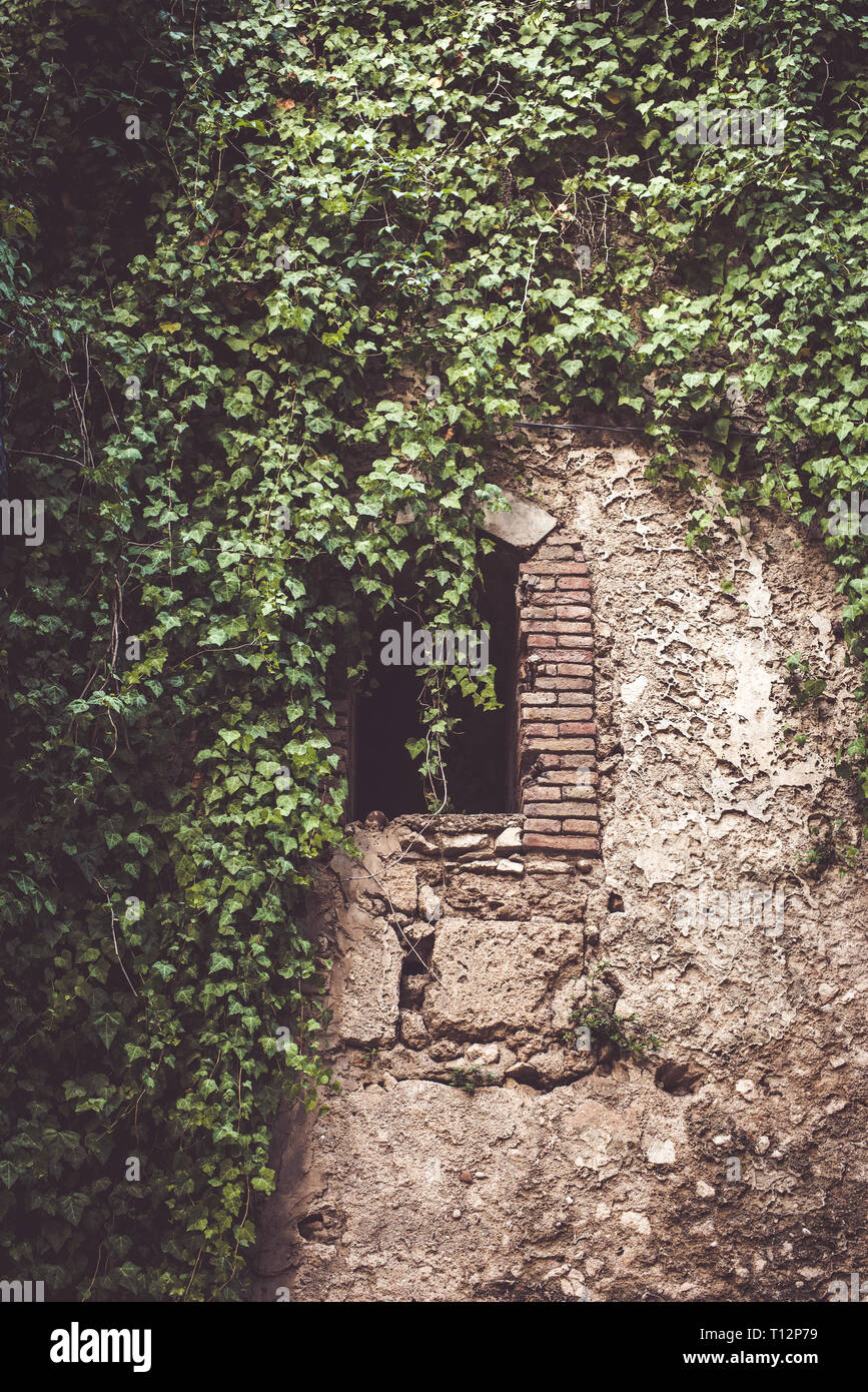 Ancient window of a building dating back to the 16th century. Vertical ...