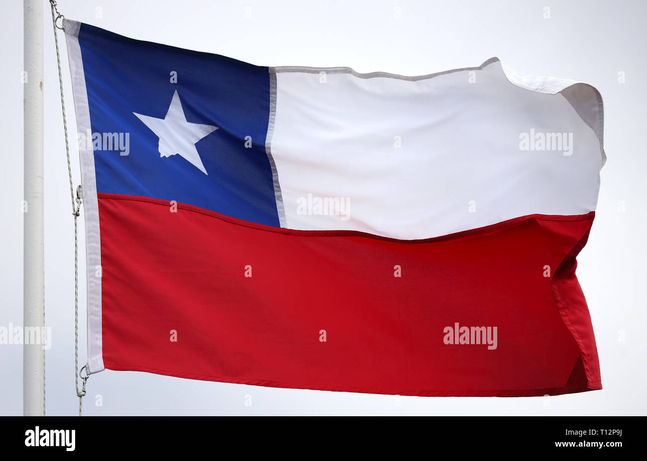 Emblem of chile hi-res stock photography and images - Alamy