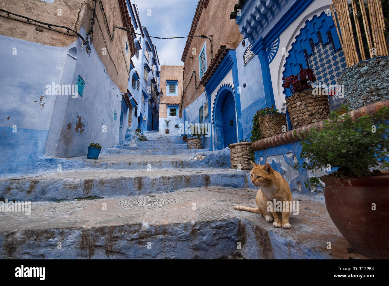 Street of the blue city in the medina. Traditional moroccan ...