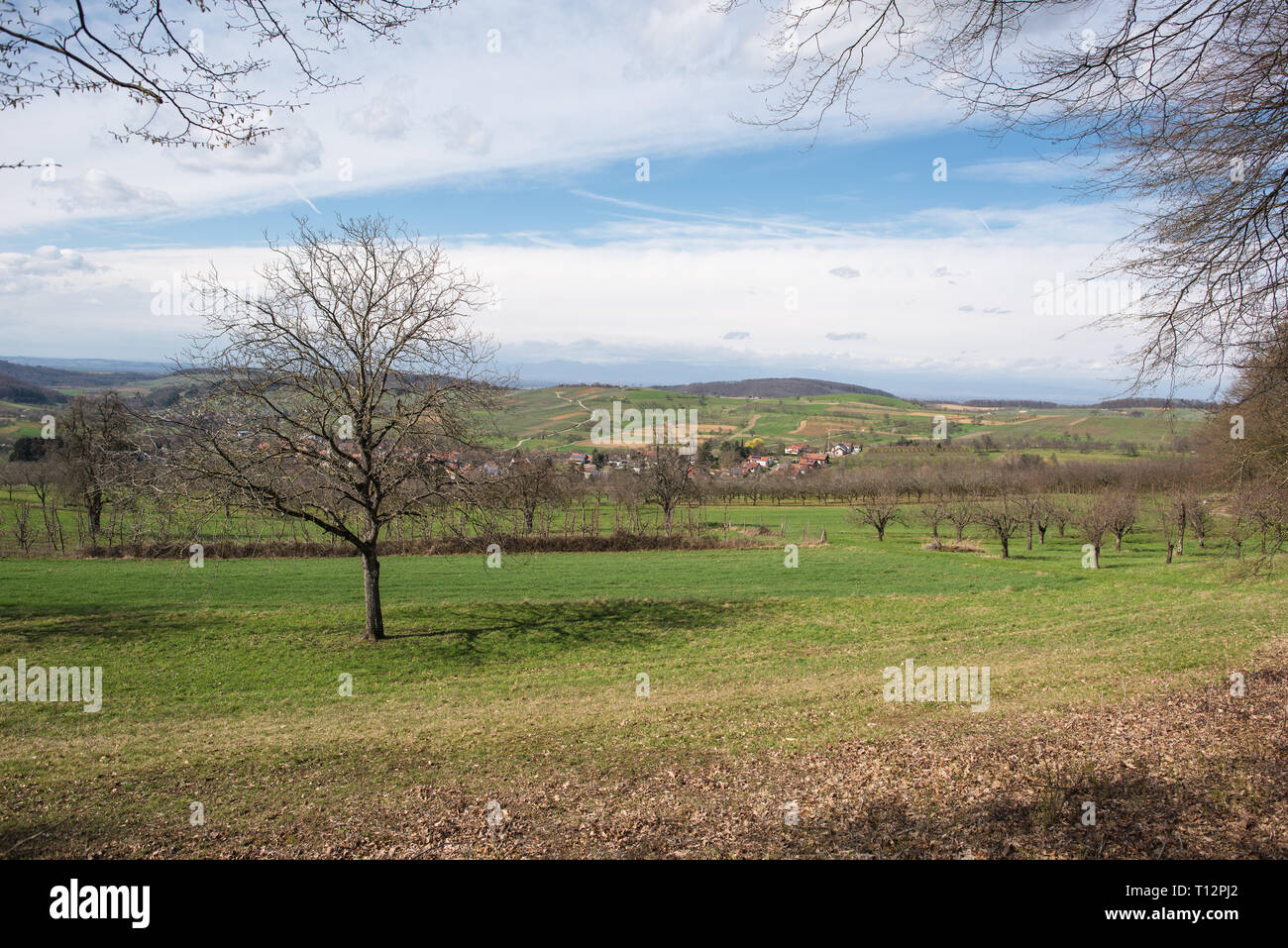 nature landscape in southern germany Stock Photo - Alamy