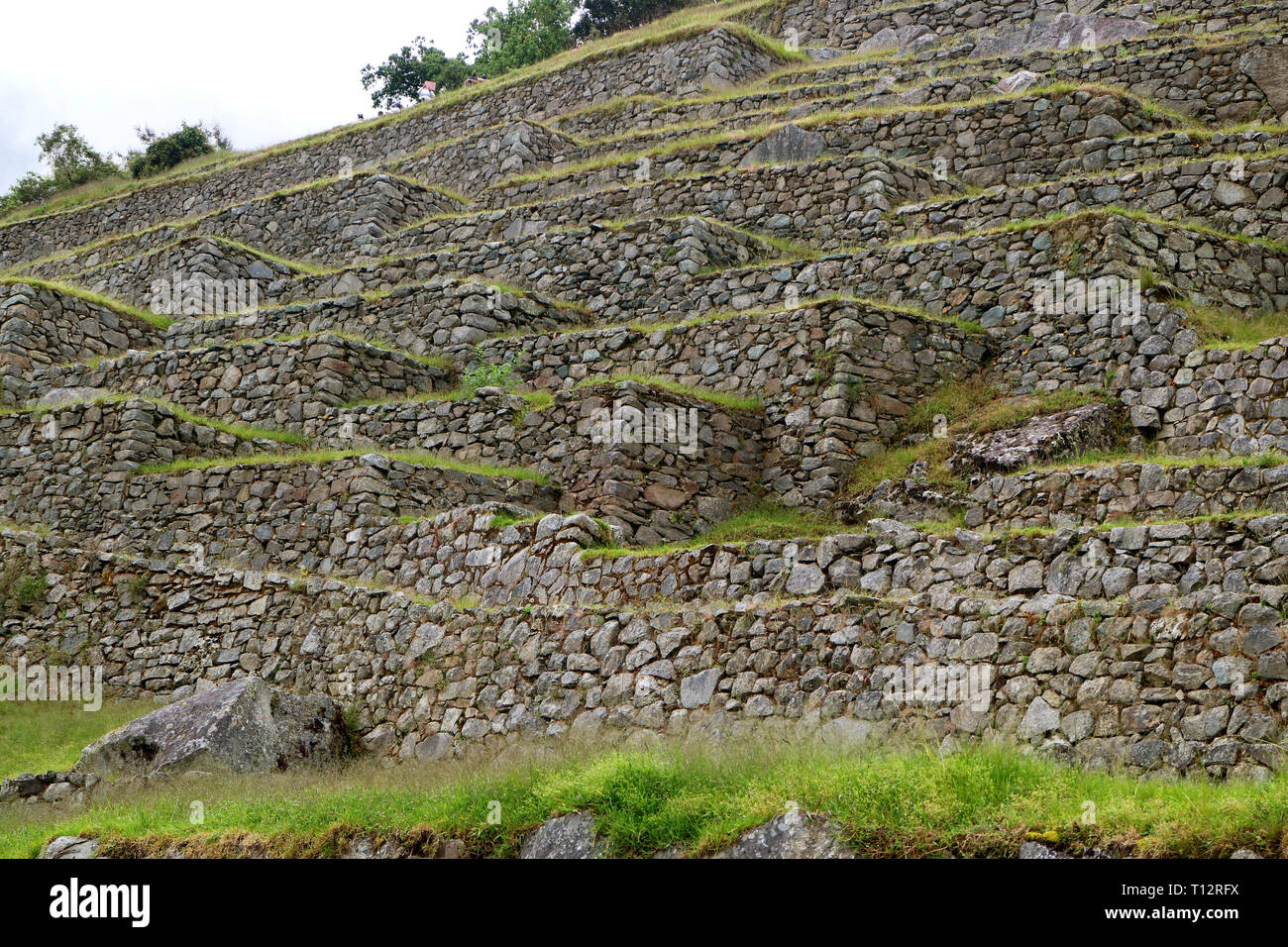 Remains of the Incas Agricultural Terraces on the Hillside of Machu ...