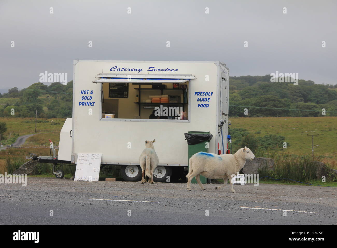 Farming agriculture mid wales landscape hi-res stock photography and ...