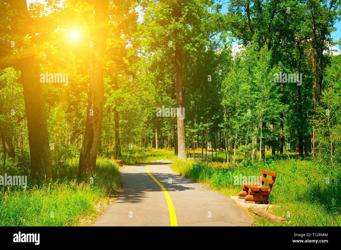 summer park with beautiful walking paths Stock Photo - Alamy
