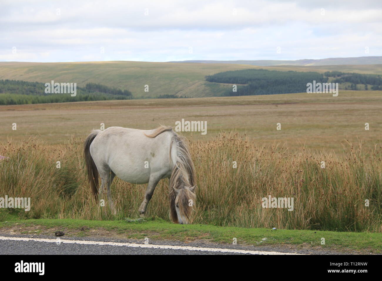 A483 wales hi-res stock photography and images - Alamy