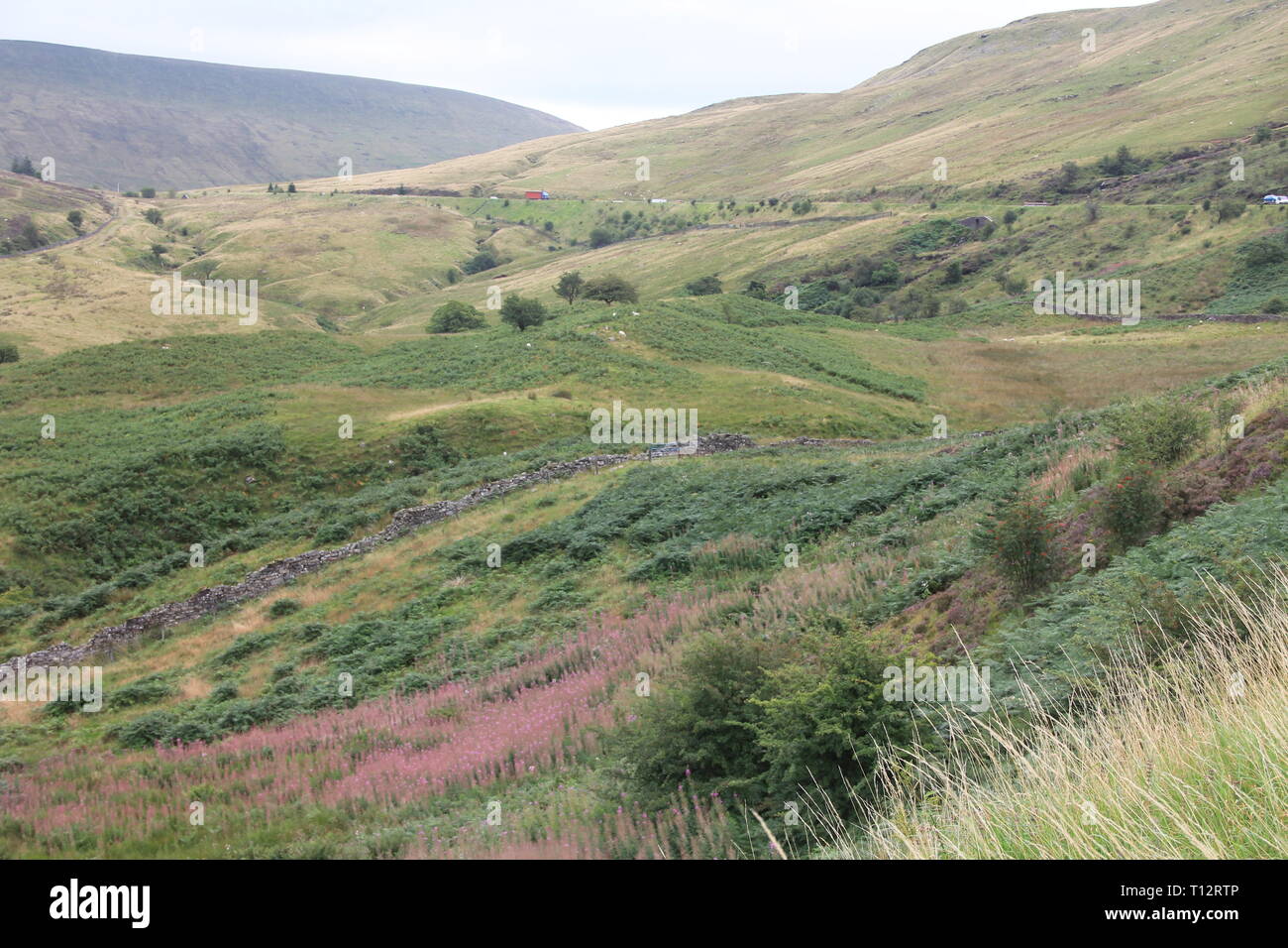 Green Desert Of Wales High Resolution Stock Photography and Images - Alamy