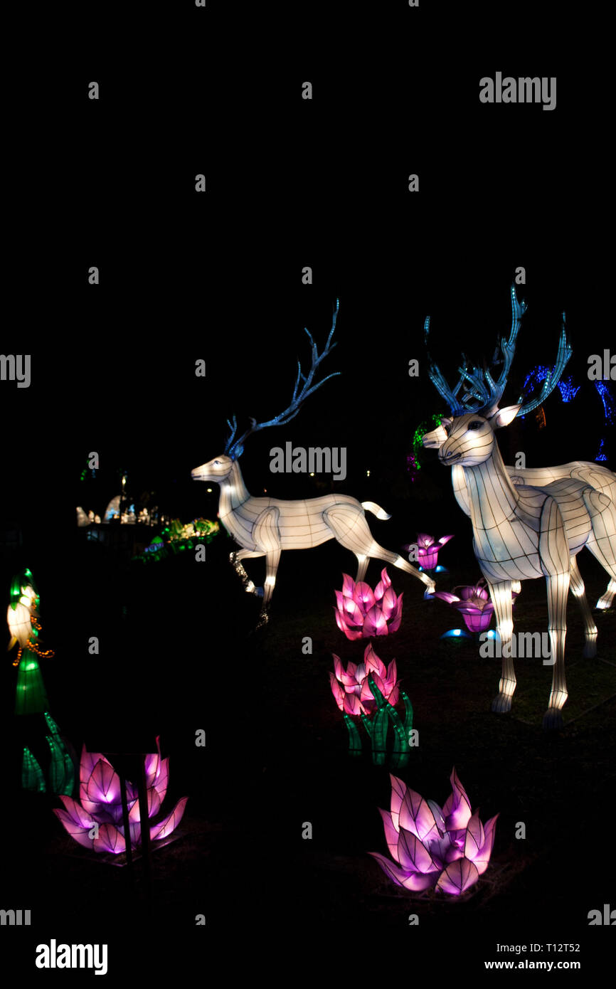 Chinese light installation hi-res stock photography and images - Alamy