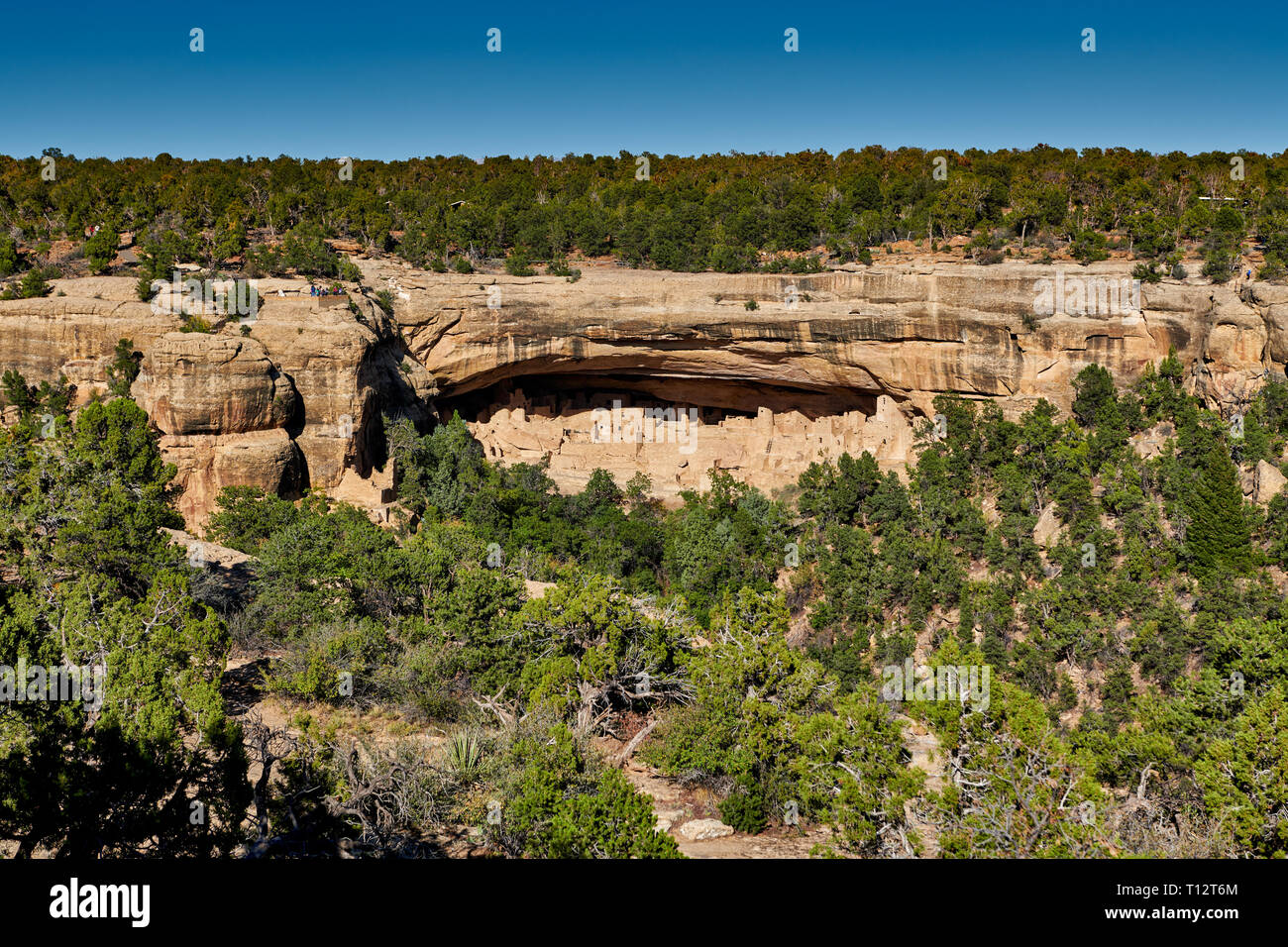 Cliff Palace, Cliff dwellings in Mesa-Verde-National Park, UNESCO world ...