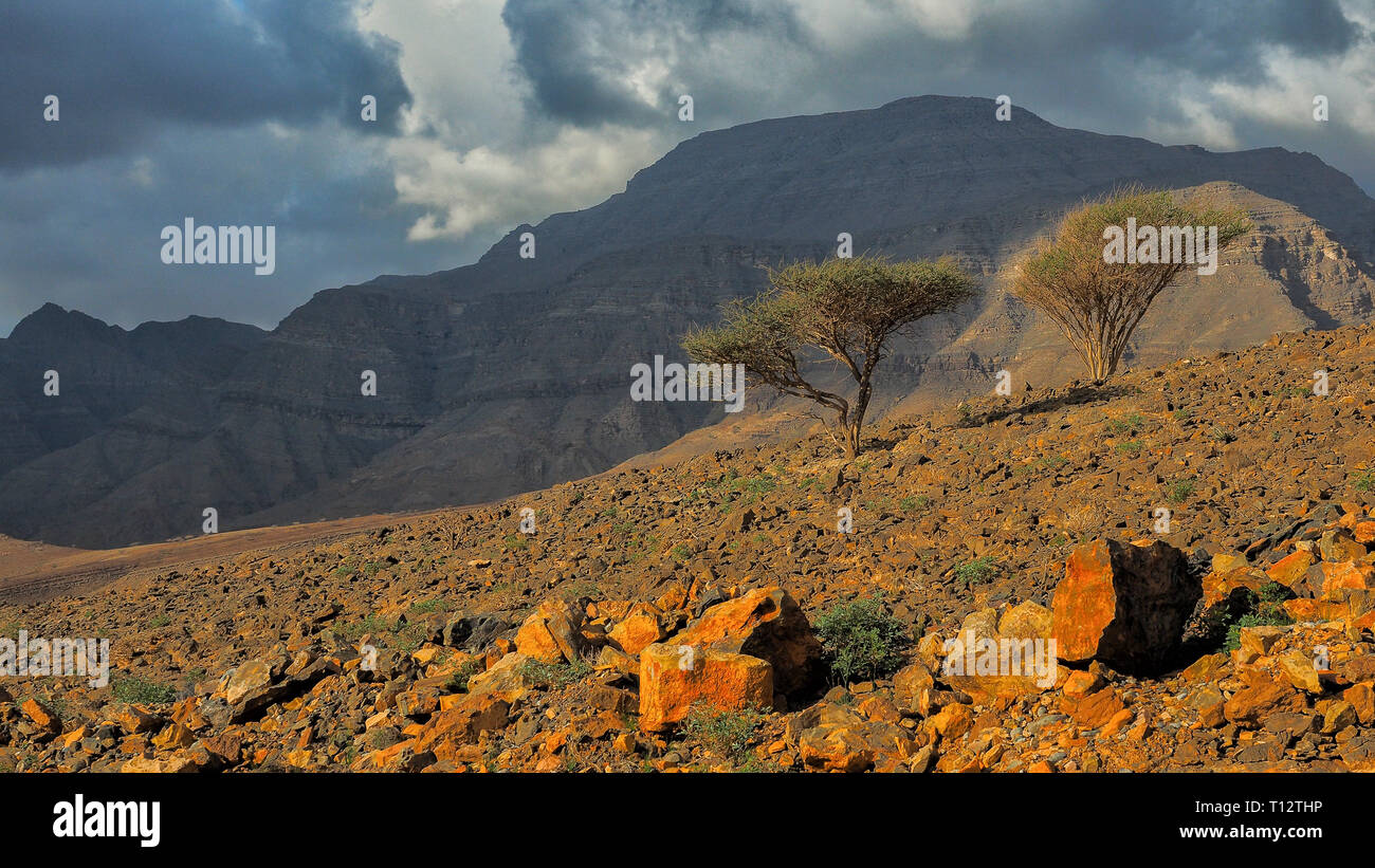 Jibal al hi-res stock photography and images - Alamy