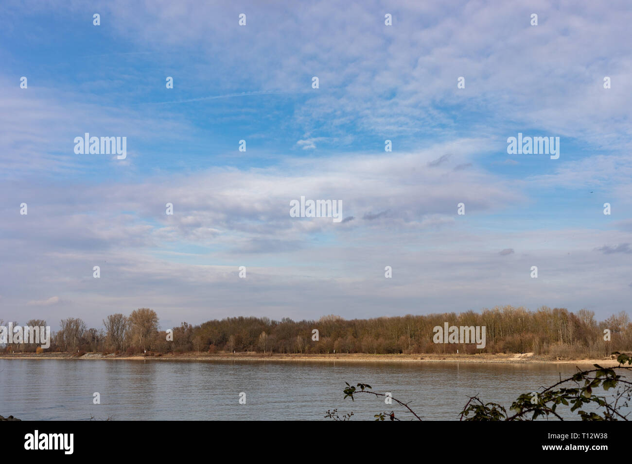 Worms germany hi-res stock photography and images - Alamy