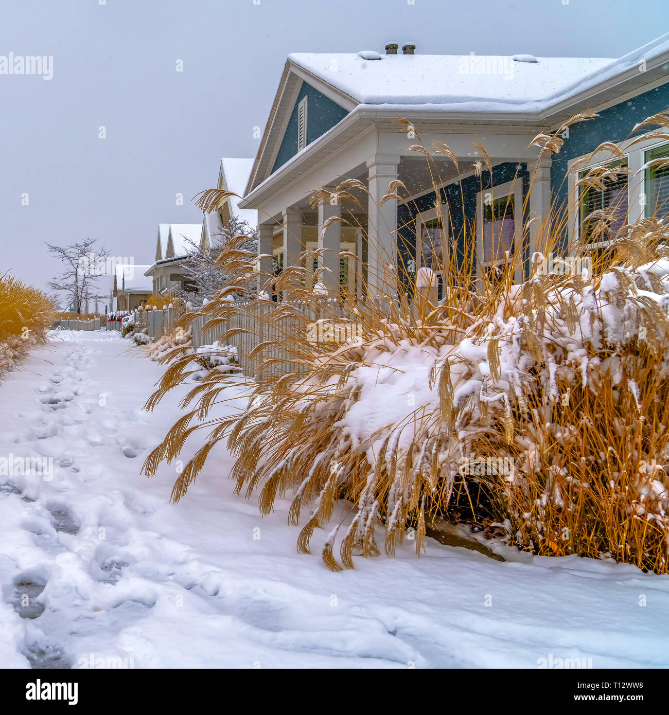 Snowy path with footprints along homes in Daybreak. Path covered with ...