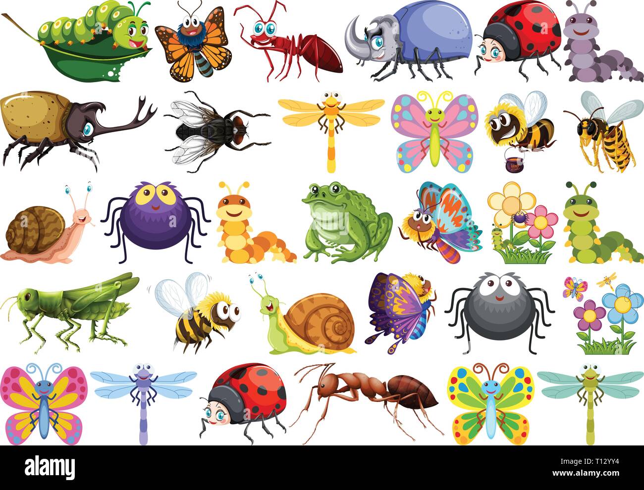Set of insect character illustration Stock Vector Image & Art - Alamy