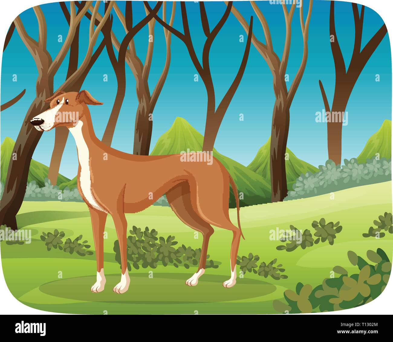 Dog in wood scene illustration Stock Vector Image & Art - Alamy