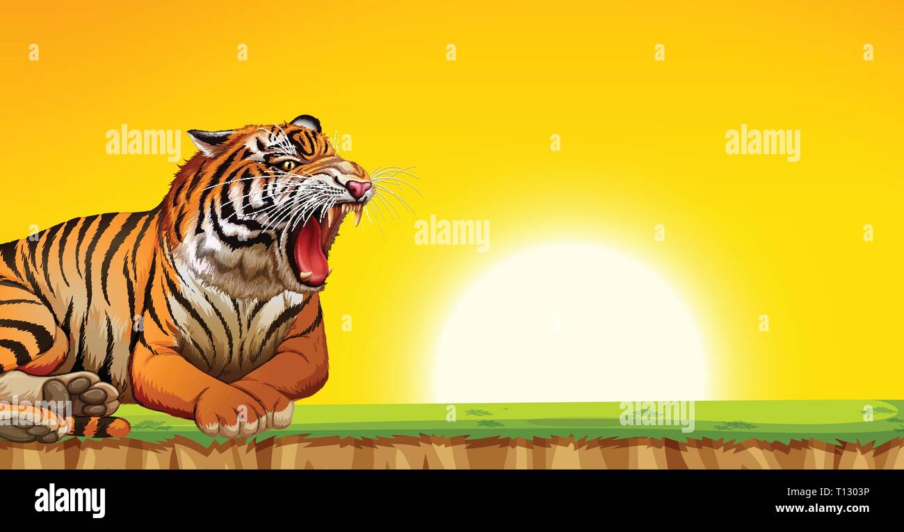 A tiger on sunset scene illustration Stock Vector Image & Art - Alamy