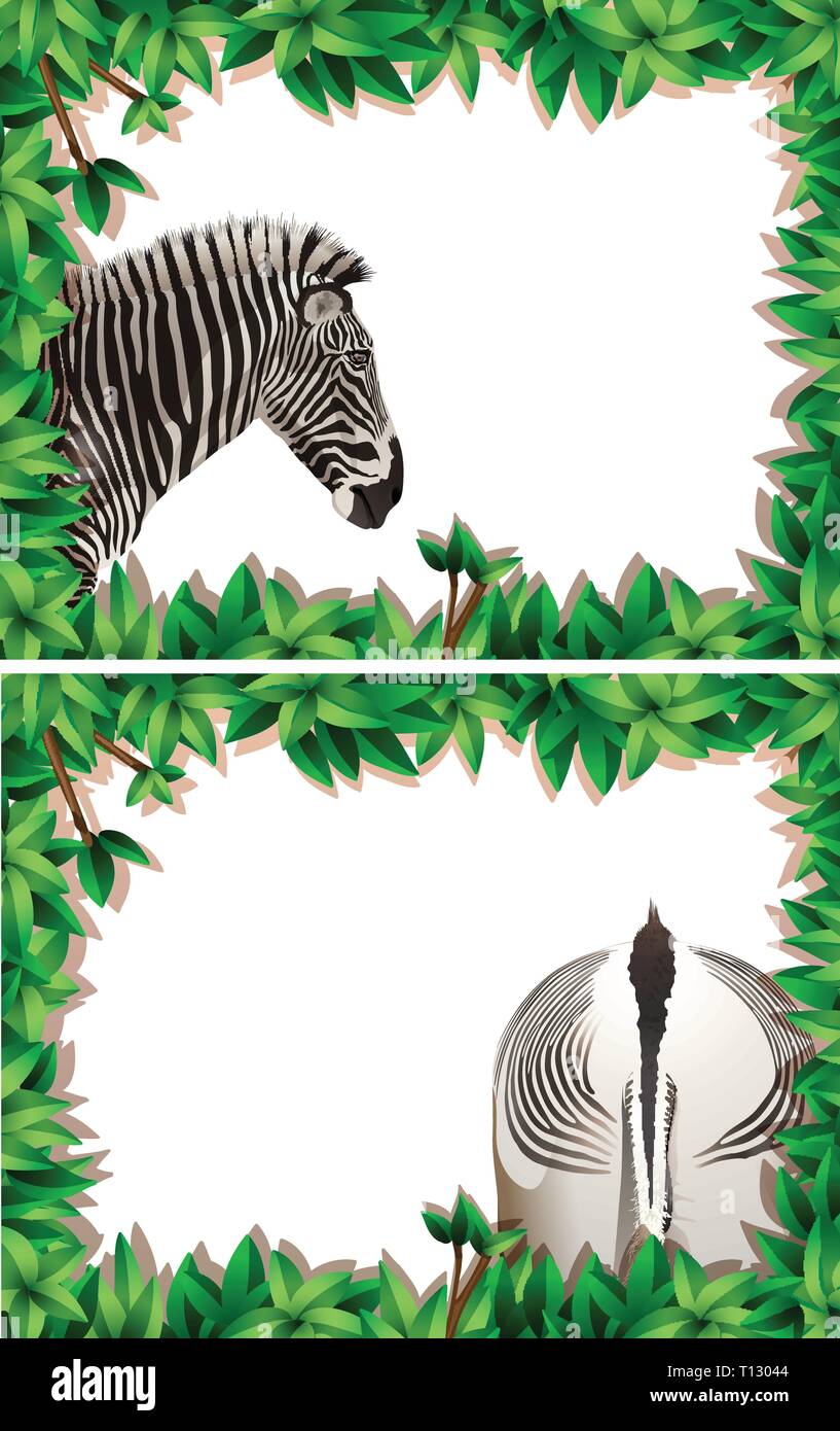 A set of zebra on nature frame illustration Stock Vector Image & Art ...