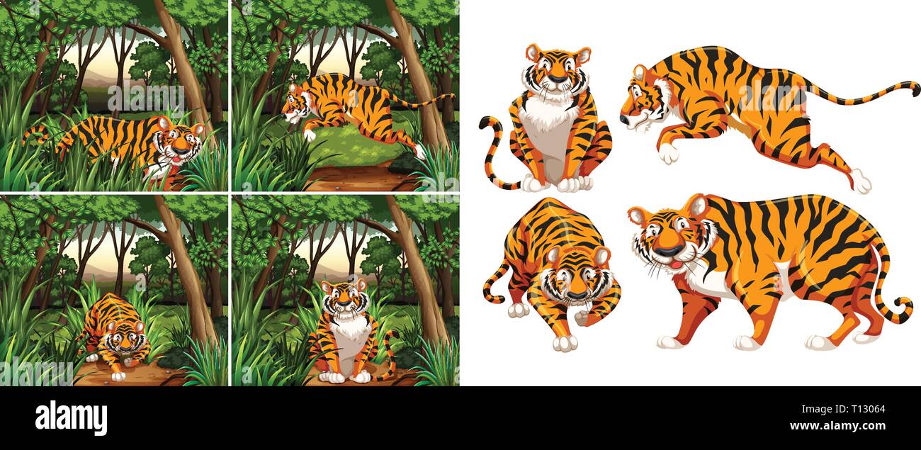 Tiger in the forest illustration Stock Vector Image & Art - Alamy