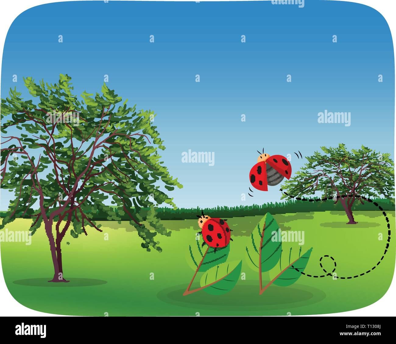 Ladybug in nature landscape illustration Stock Vector Image & Art - Alamy