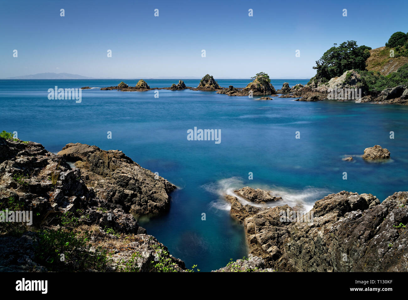 Fisherman's Bay rocky foreshore on Tiritiri Matangi Island open nature ...
