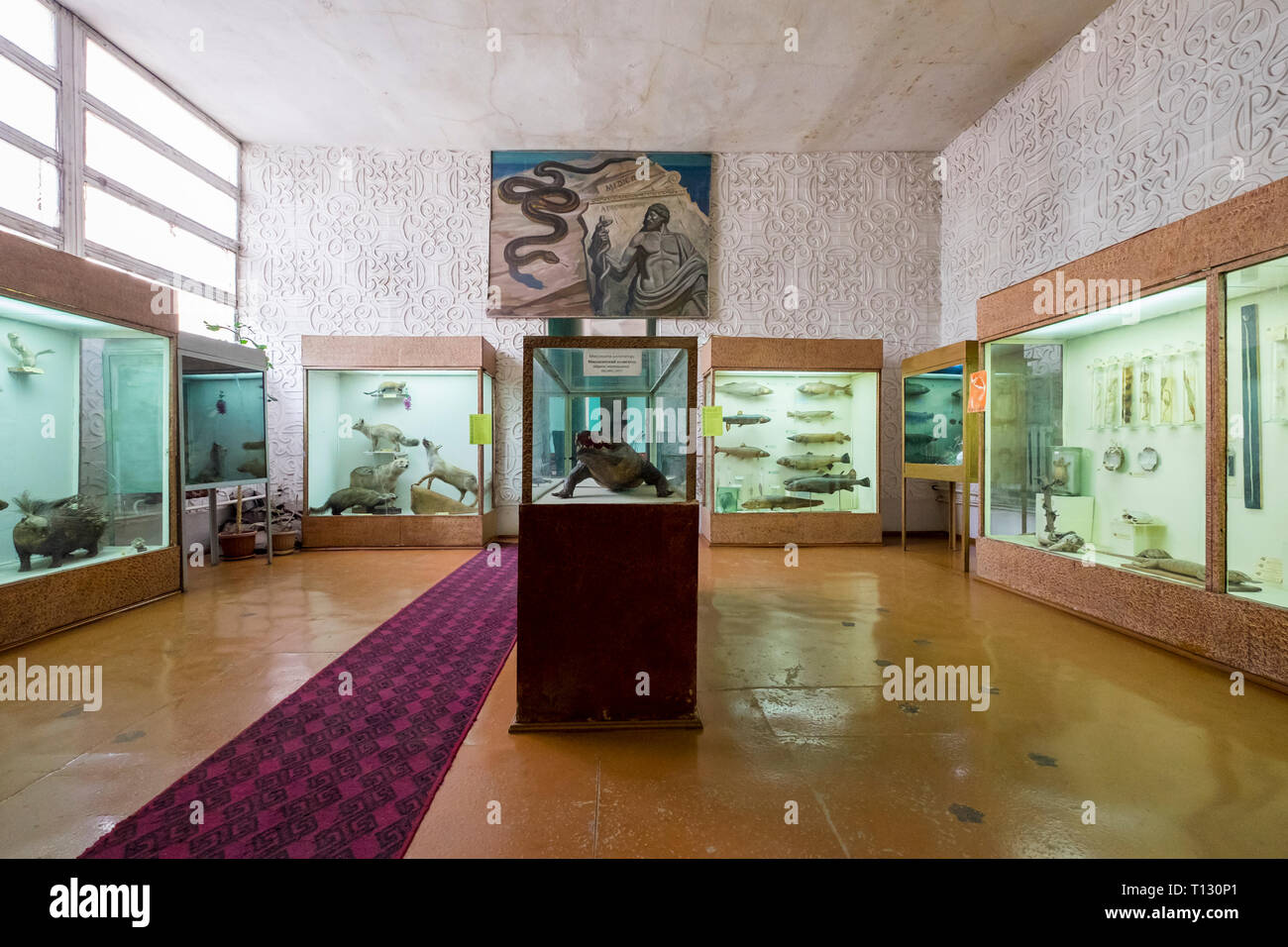 Zoological museum exhibit hi-res stock photography and images - Alamy