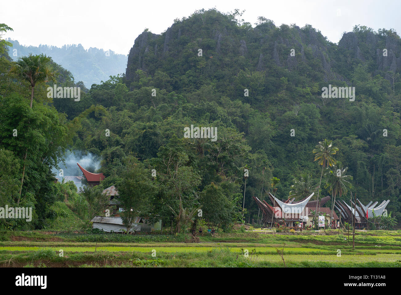 Tongkonan houses, traditional Torajan buildings, Tana Toraja is the ...