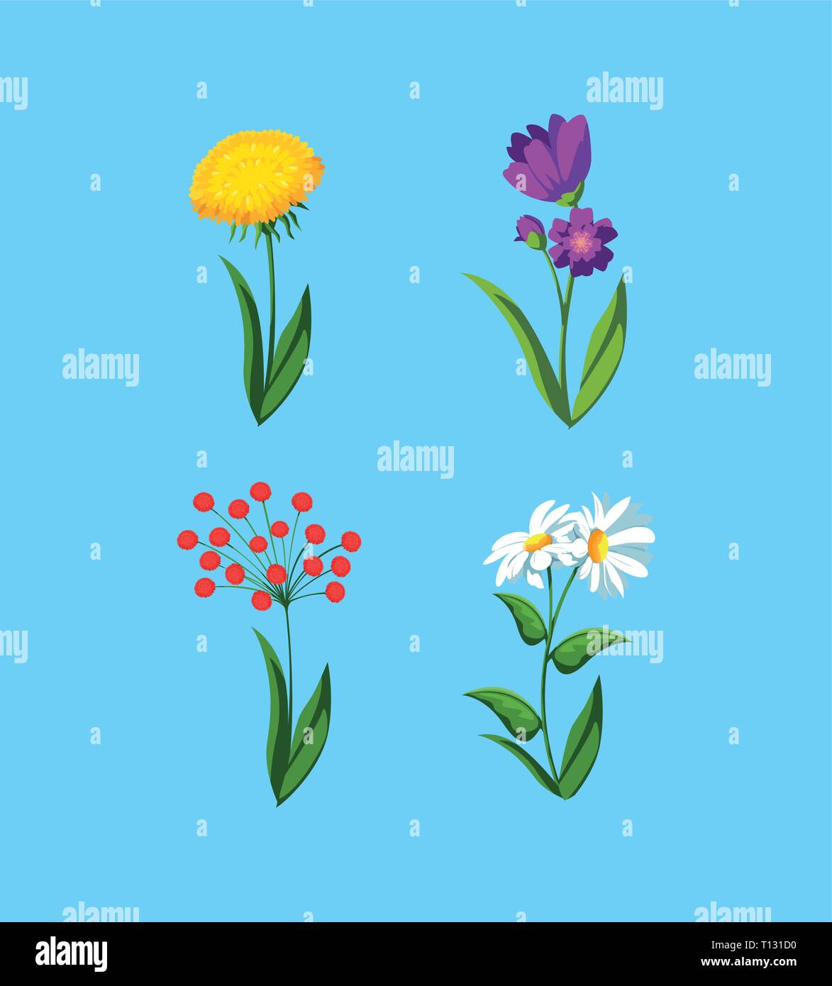 set of beautiful spring flowers vector illustration design Stock Vector ...