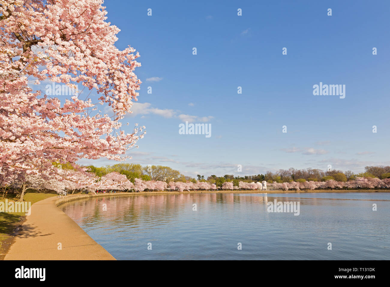 Washington dc panorama around hi-res stock photography and images - Alamy