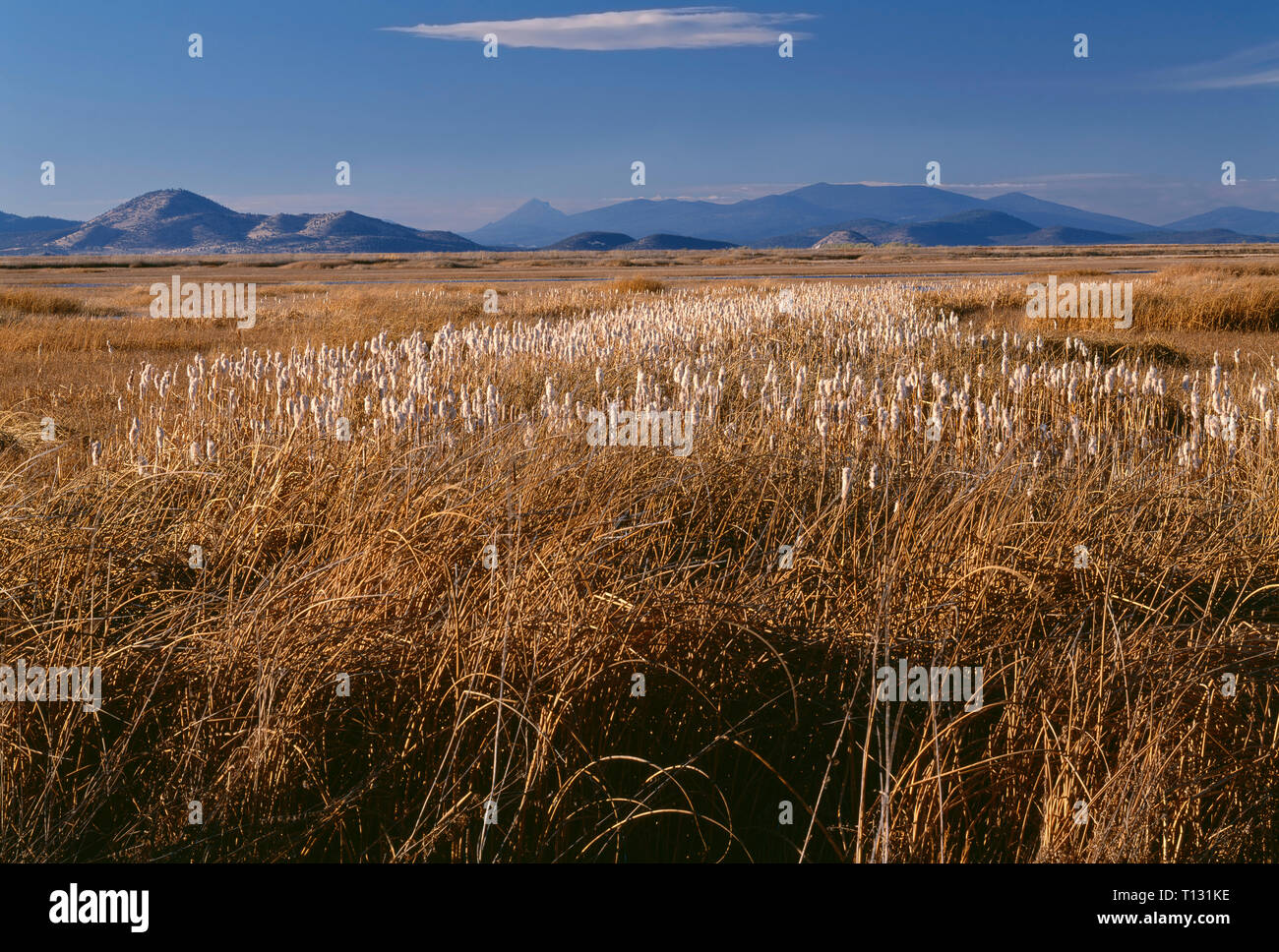 Klamath basin national wildlife refuge hi-res stock photography and ...