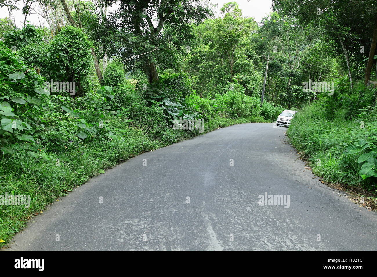 Tarmark hi-res stock photography and images - Alamy