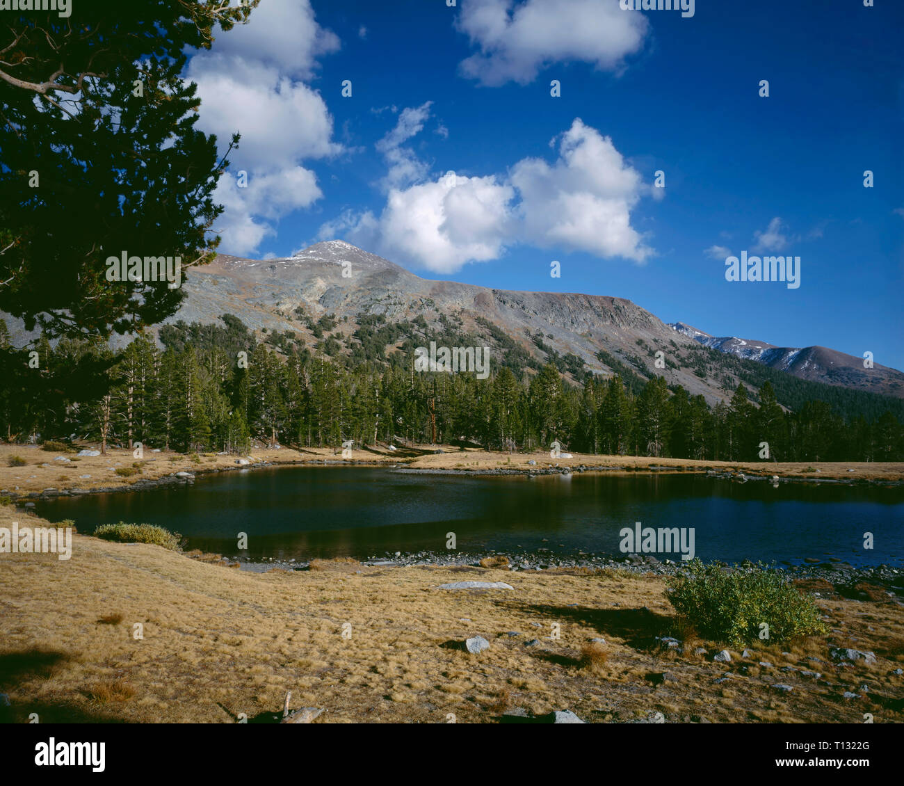 USA, California, Yosemite National Park, Autumn view of Mount Dana ...