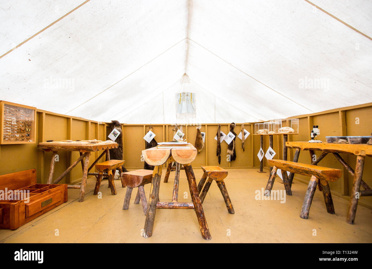 Lab discovery tent hi-res stock photography and images - Alamy