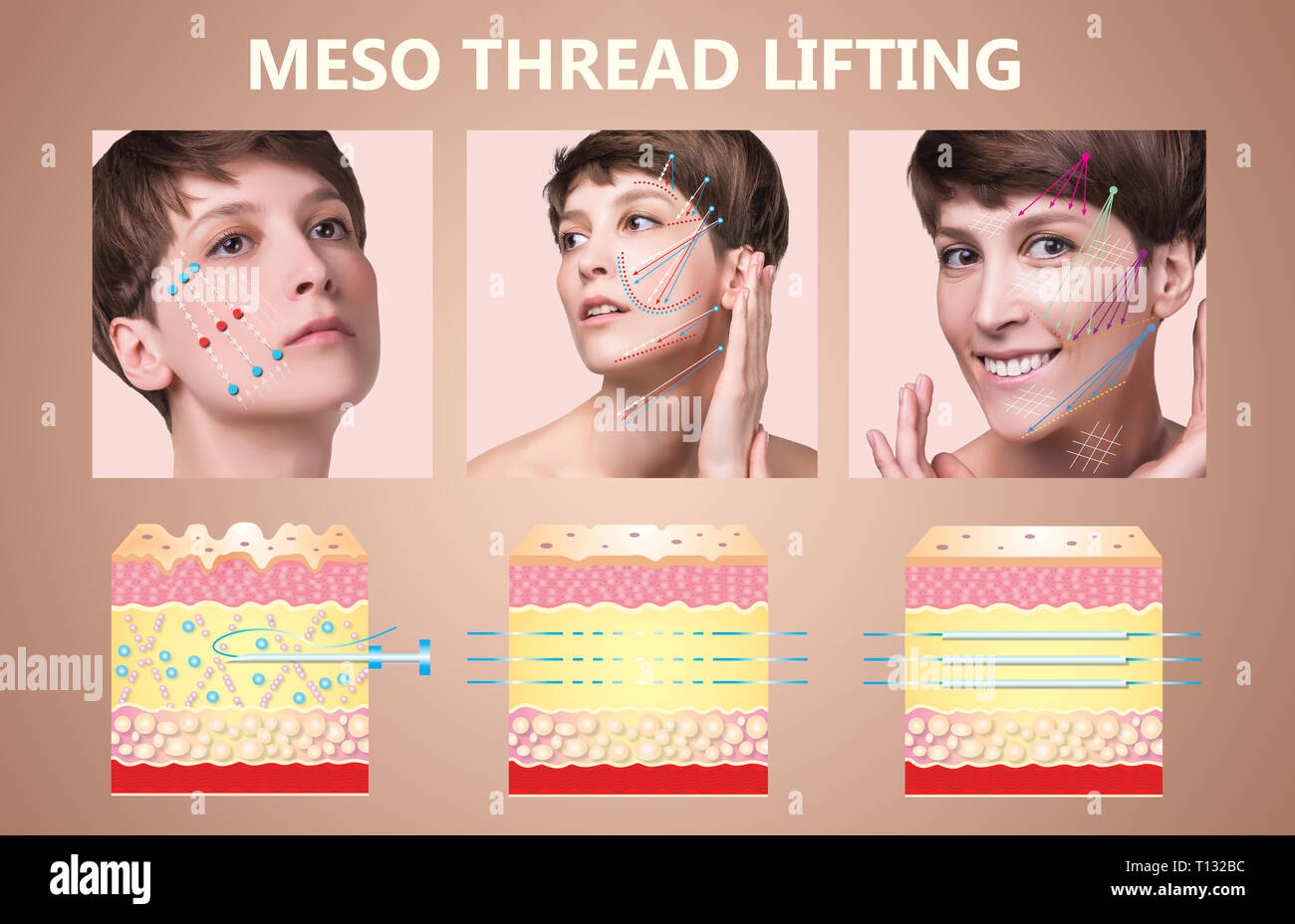 Aesthetic face anatomy hi-res stock photography and images - Alamy