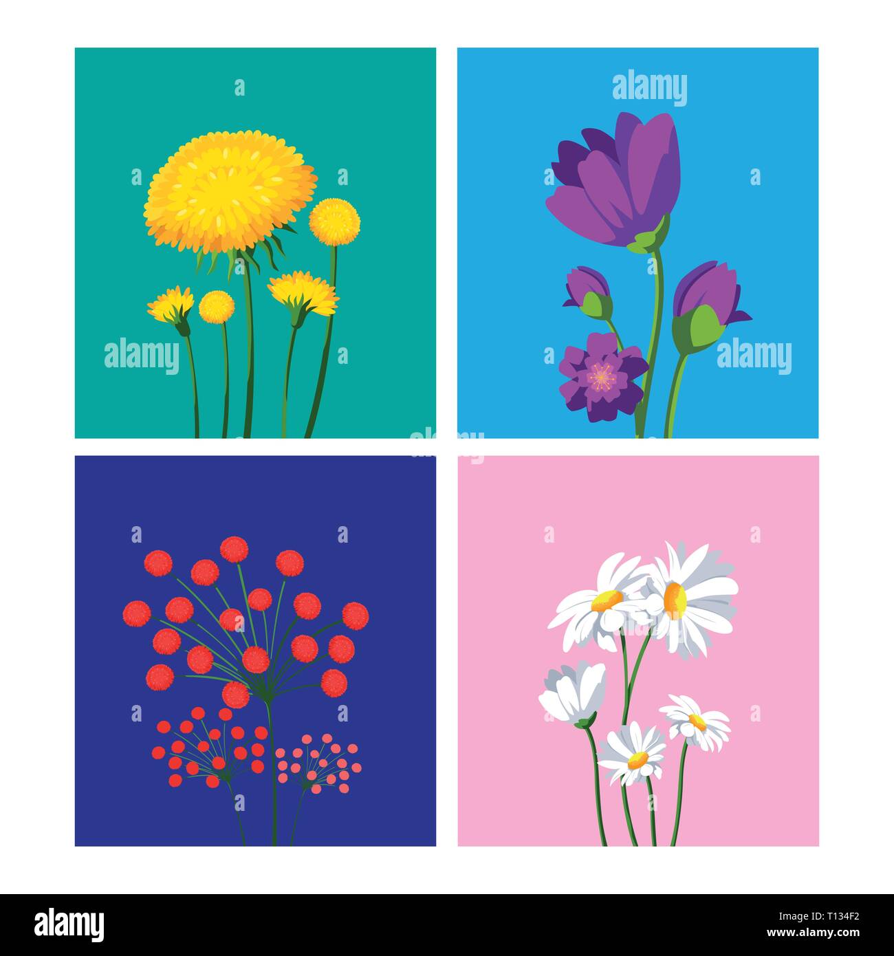 set of beautiful spring flowers vector illustration design Stock Vector ...