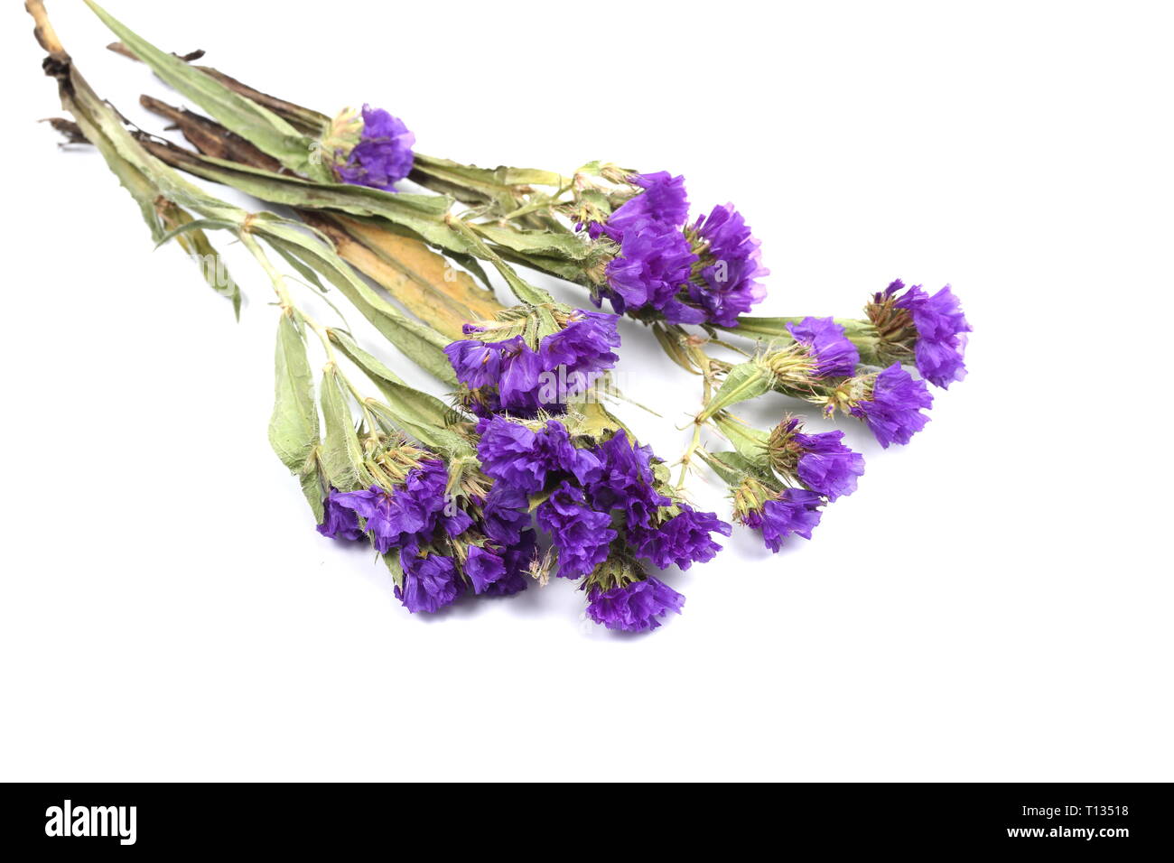 A bouquet of statice on a white background Stock Photo - Alamy