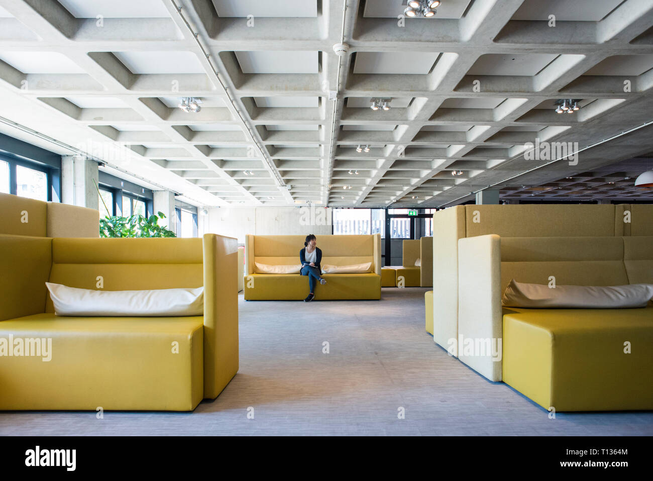 Areas of Amsterdam University's modern campus building Stock Photo - Alamy