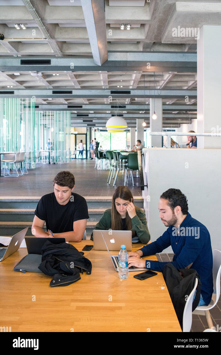 Quiet study areas hi-res stock photography and images - Alamy