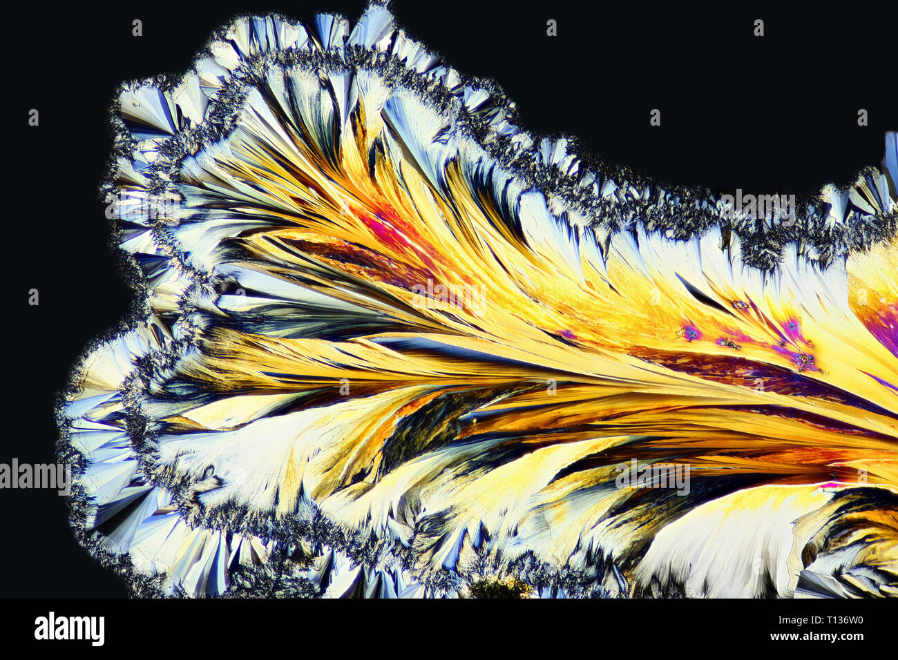 Crystals of paracetamol, a common pain medication, microscope image ...