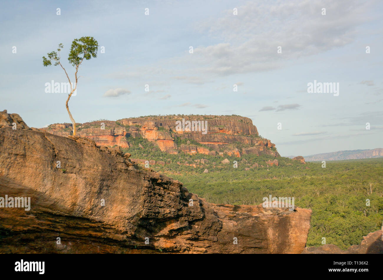 panorama from the Nadab Lookout in ubirr, kakadu national park. It looks like an african ...