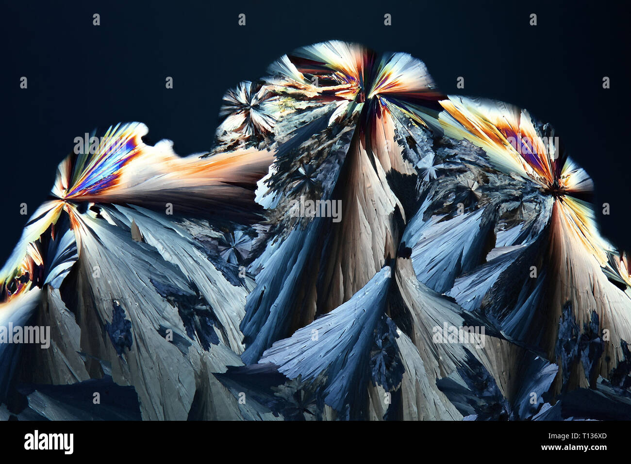 Crystals of citric acid, a common food preservative Stock Photo - Alamy