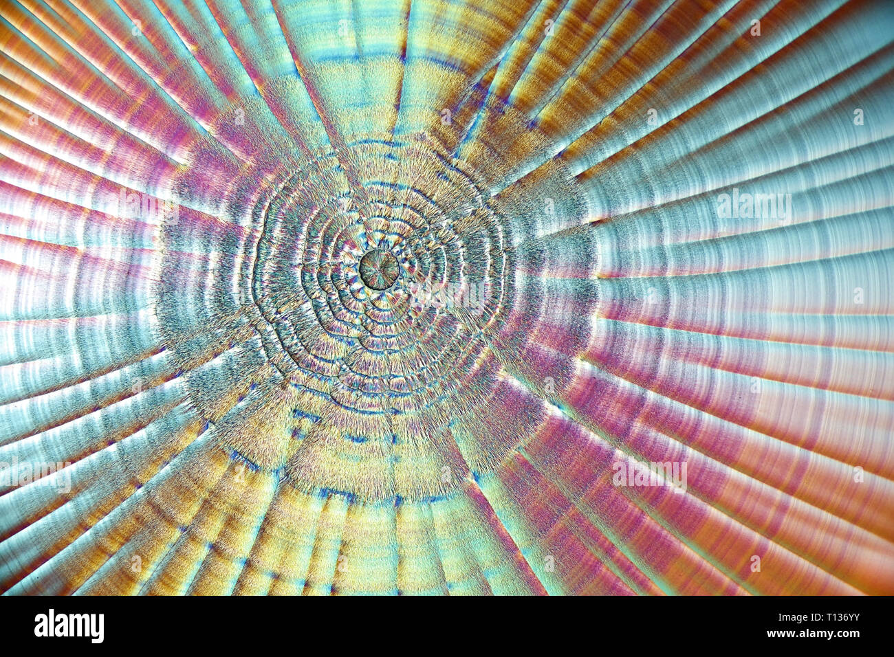 This is ascorbic crystallized acid, commonly known as Vitamin C. A ...