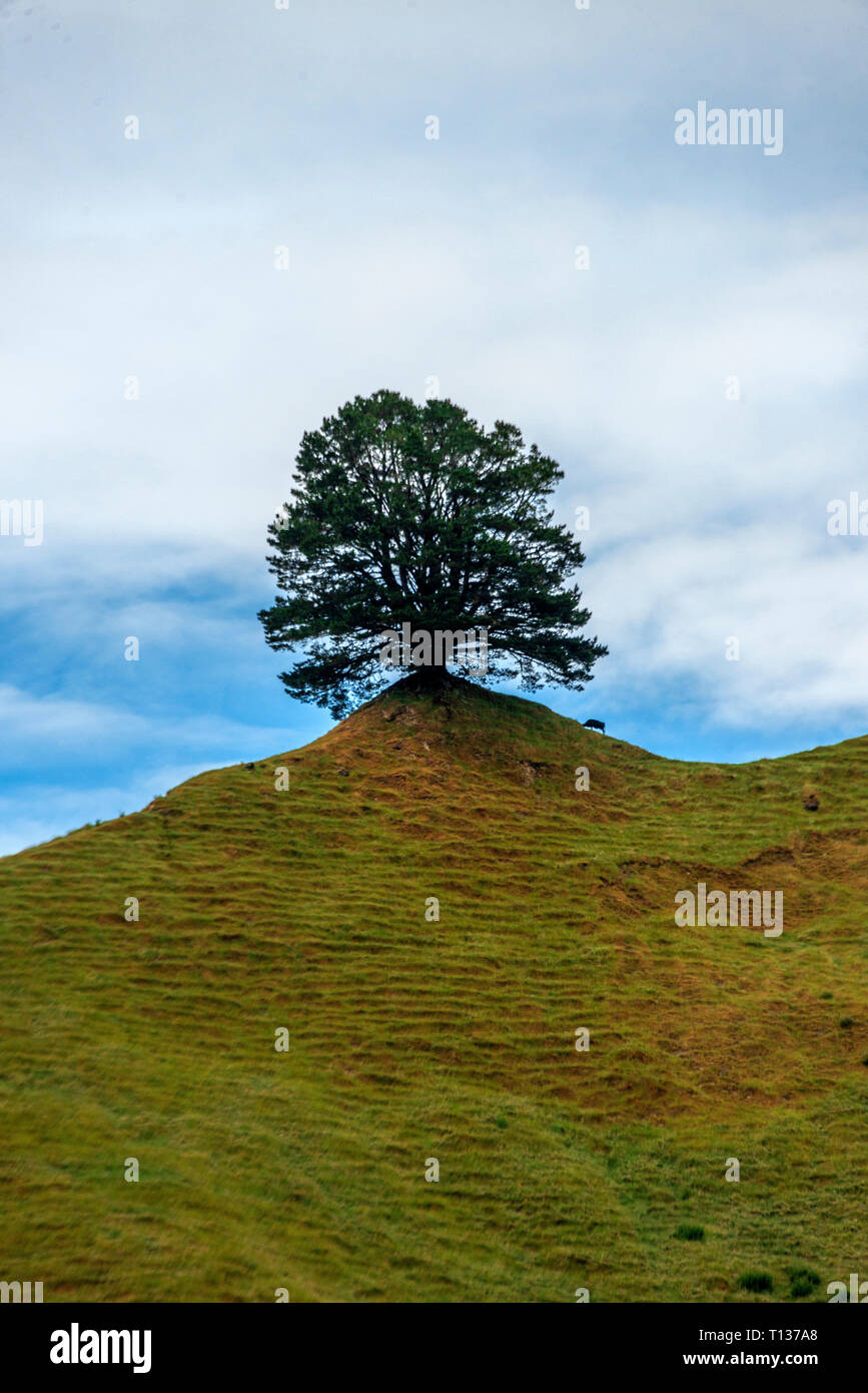 Apex hi-res stock photography and images - Alamy