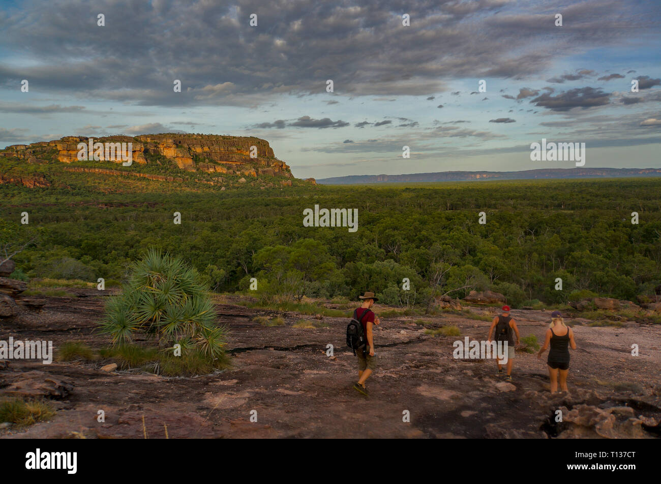 panorama from the Nadab Lookout in ubirr, kakadu national park. It looks like an african ...