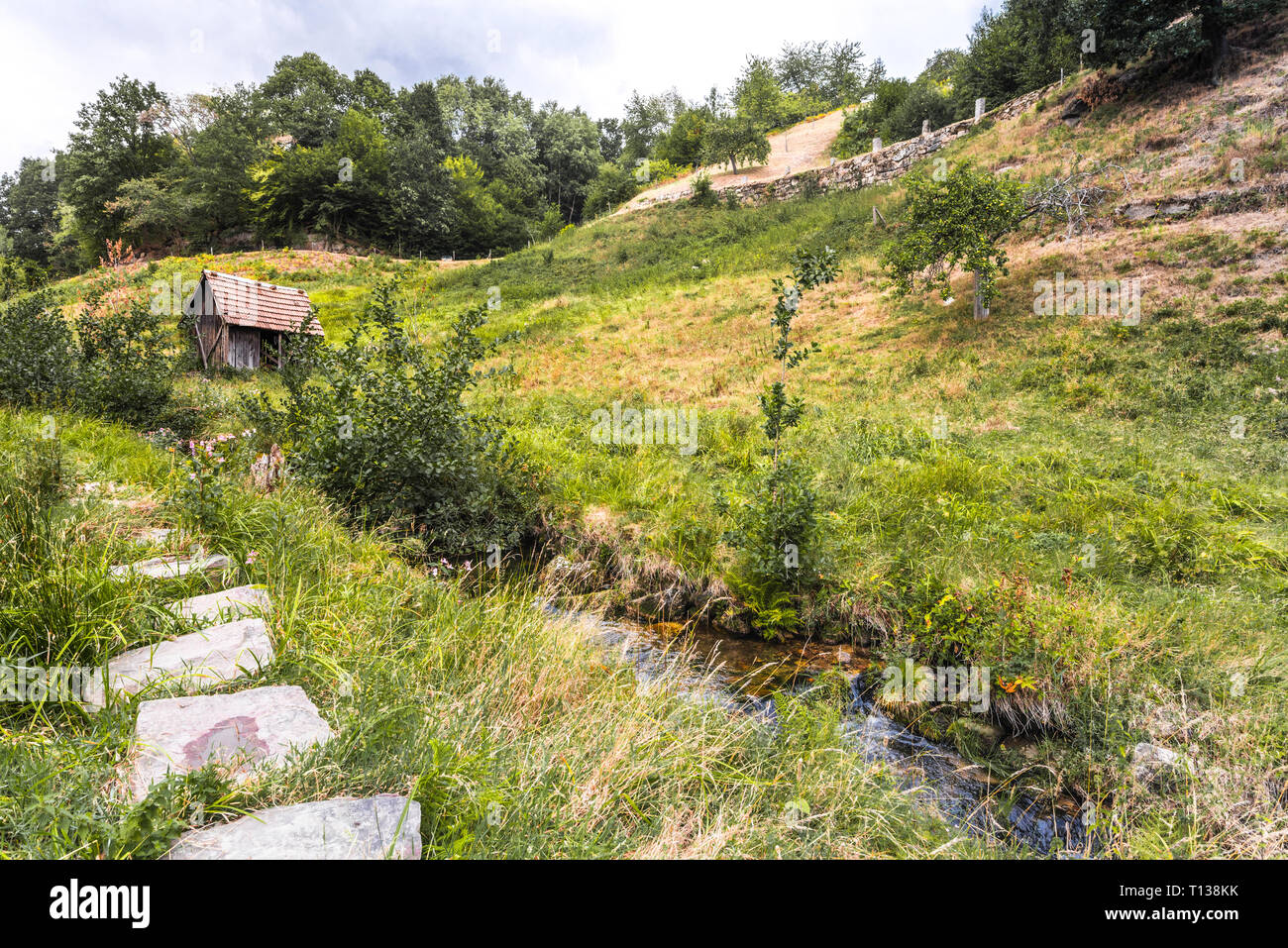hiking trail goat path near village Forbach, Northern Black Forest ...